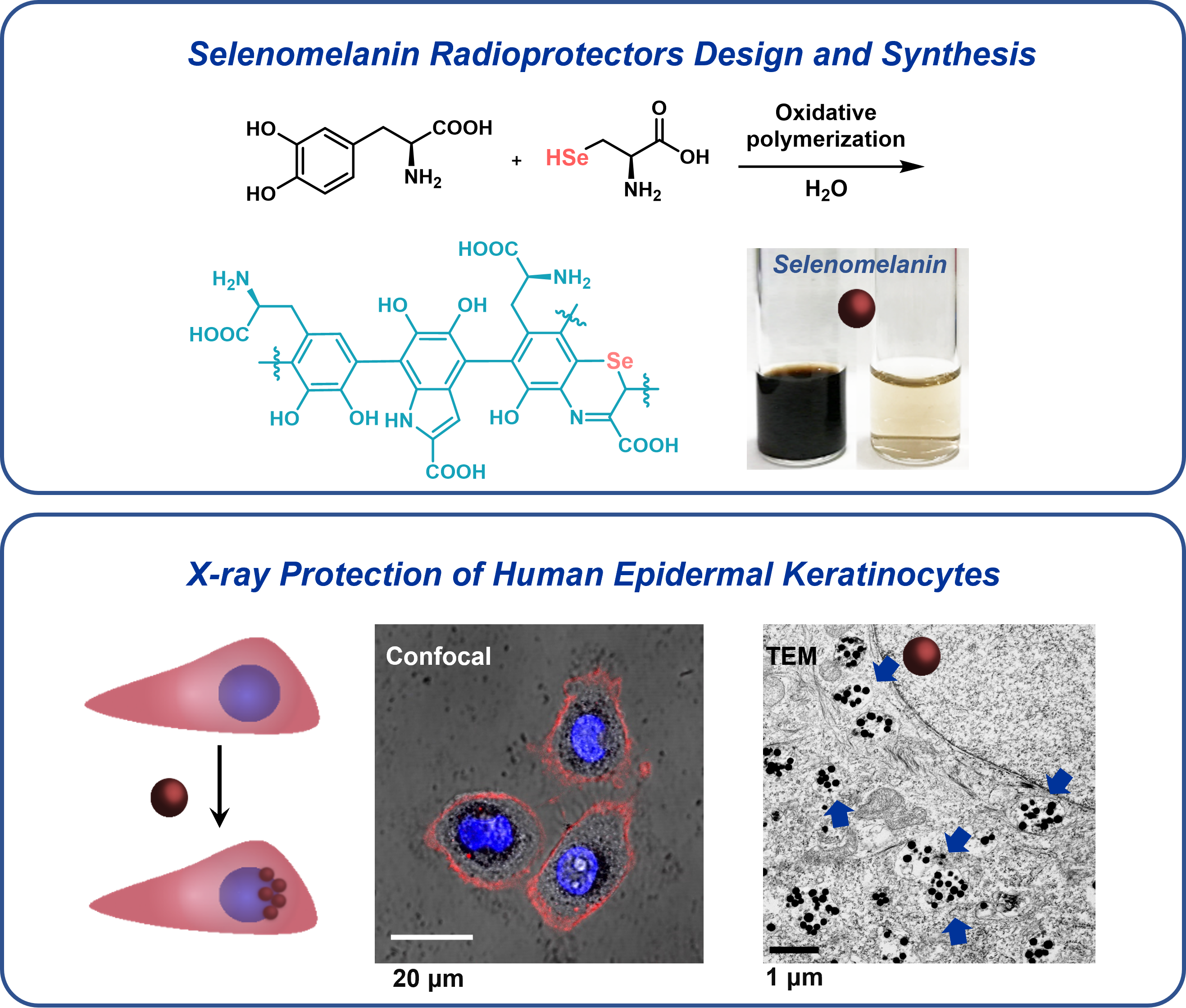 fig-2-3 – CAO RESEARCH GROUP